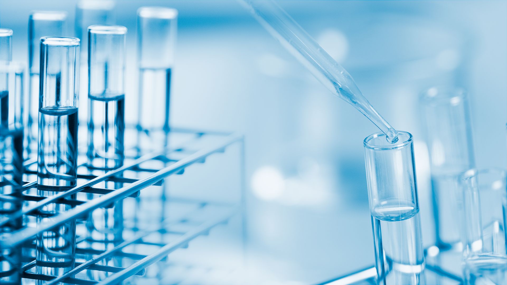 Facilities | Metaph.es